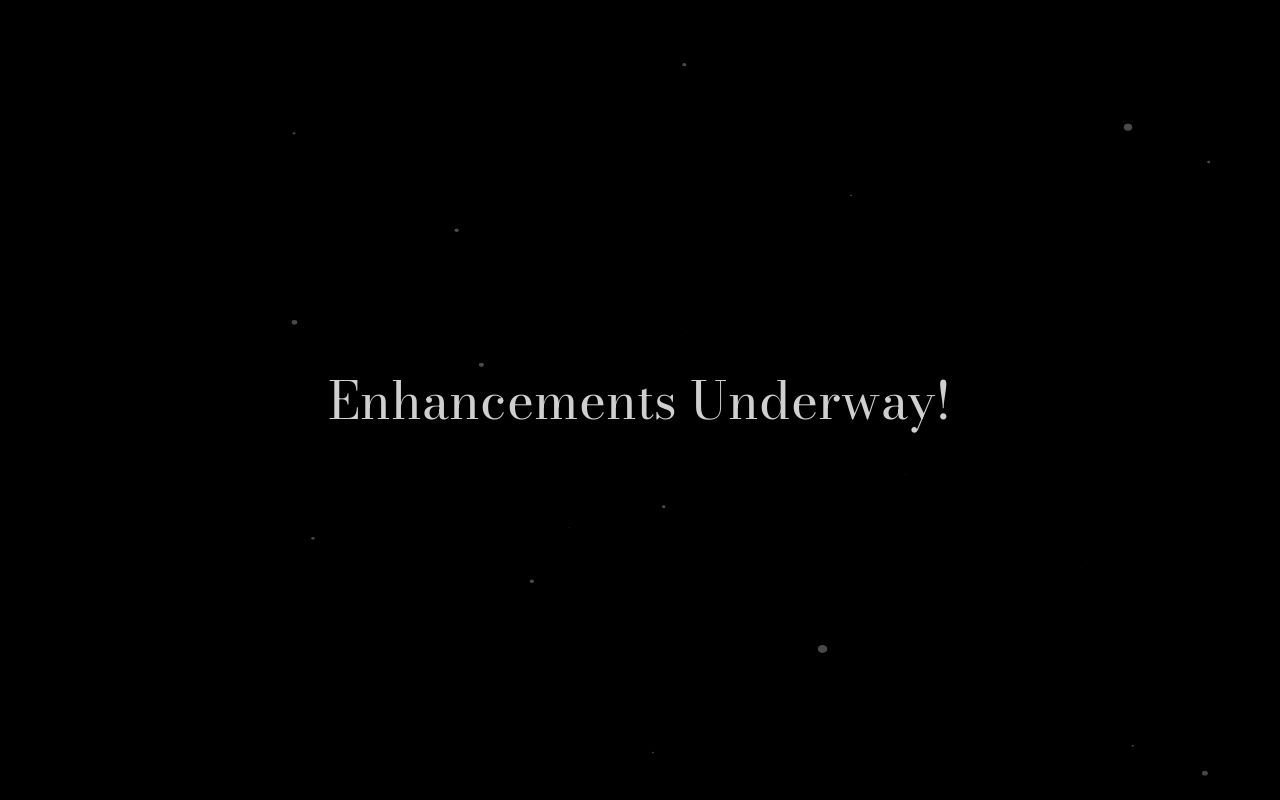 THE CHASE OF AUTHENTICITY